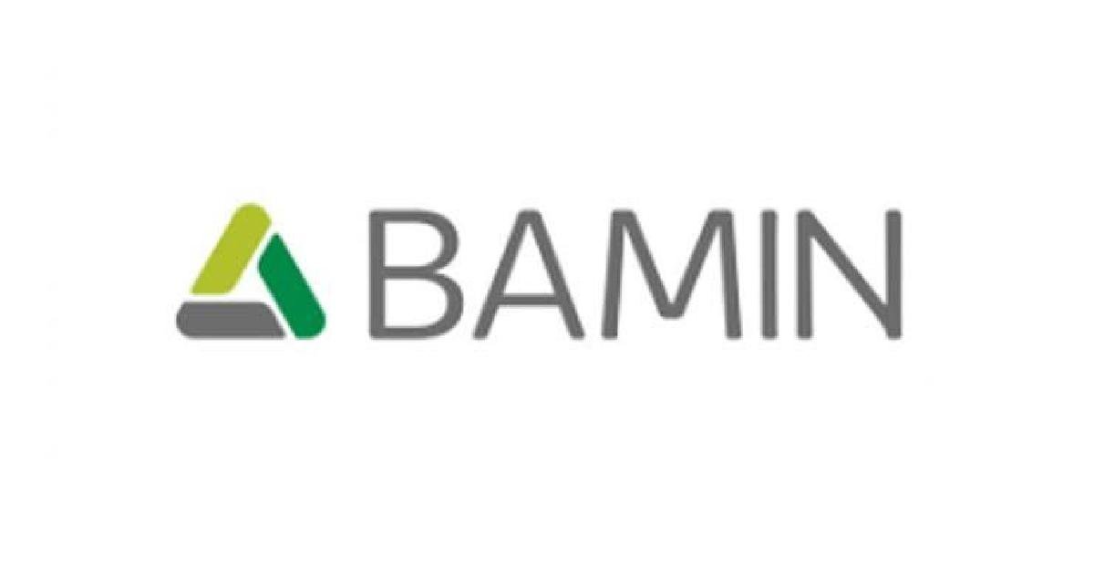 BAMIN ESCLARECE DEMISSÃO DE 300 TRABALHADORES E PARALISAÇÃO DAS OBRAS ...